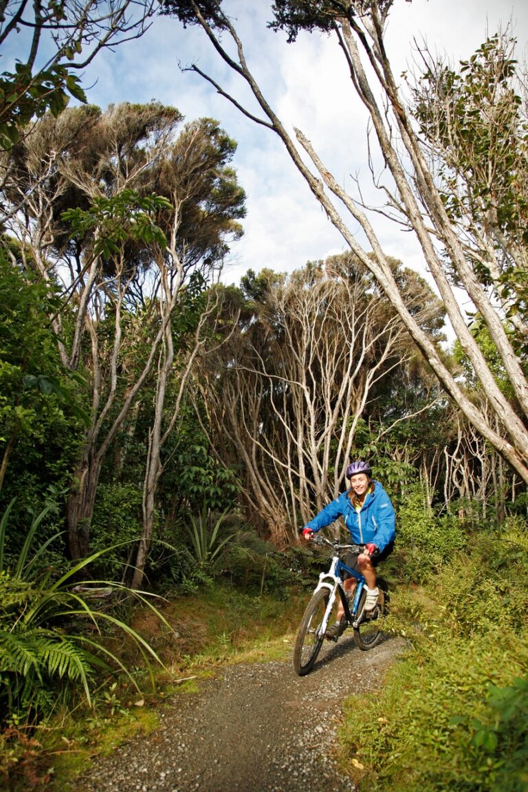 Activities in Bluff – Bluff