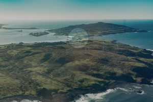 Activities in Bluff – Bluff